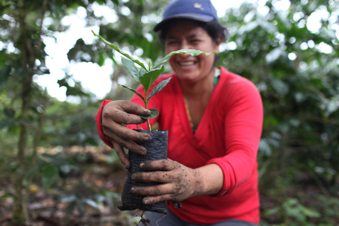 How Does Fair Trade Protect The Environment? - Fair Trade Campaigns