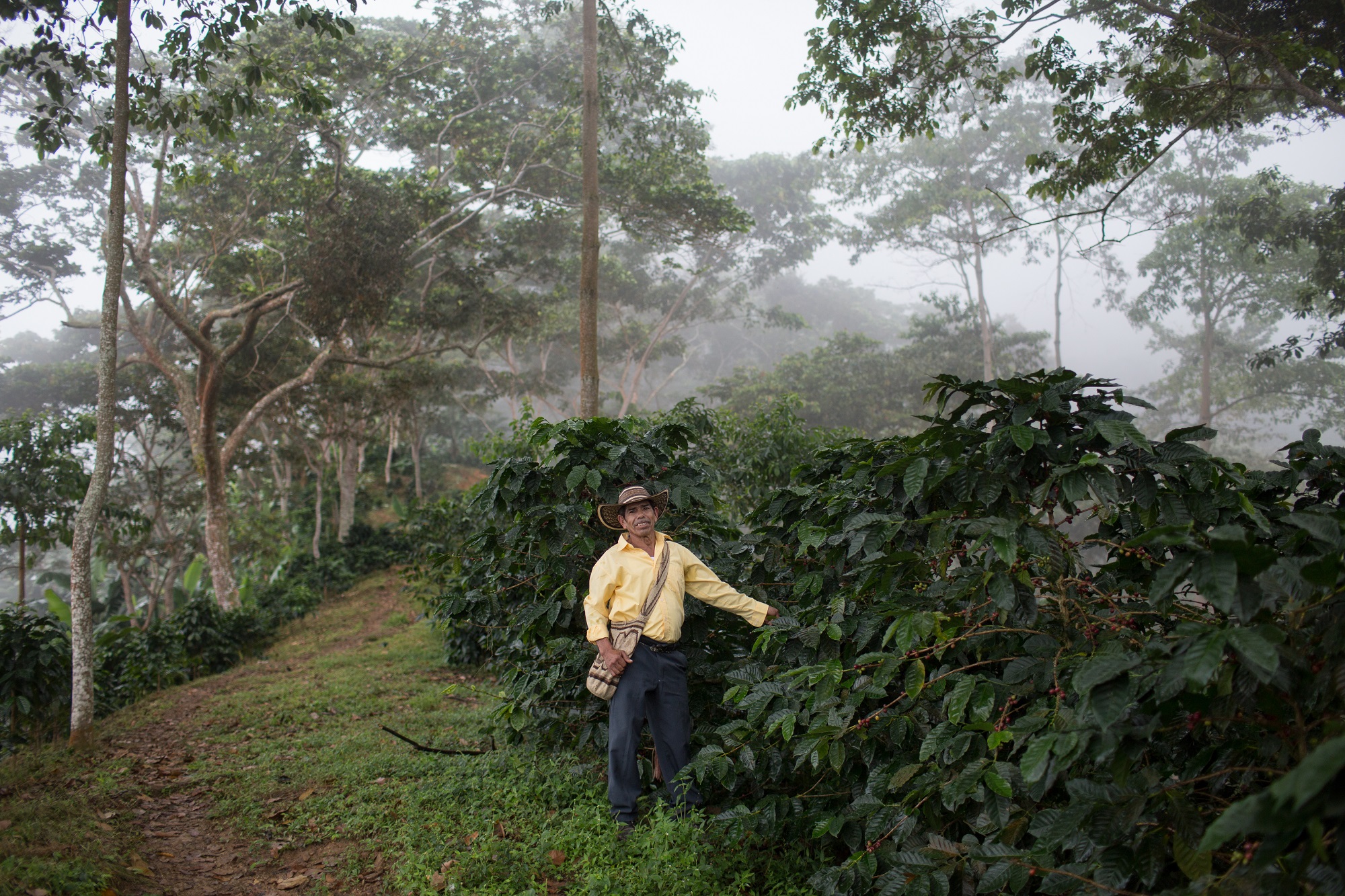 How to Protect Forests and Support Farmers this Earth Day - Fair Trade ...